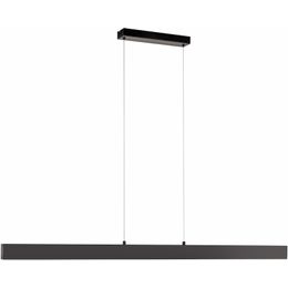 JUST LIGHT LED Deckenleuchte "DRITTO", 1, H: 50cm, 1 Stk.schwarz, Leuchten