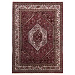 Orientteppich Theko, B:70cm H:12mm L:140cm, rot, Schurwolle, Seide, Teppiche, "Sirsa Seta", handgekn&uuml;pft, Material: 80% Wolle, 20% Seide, mit Fransen