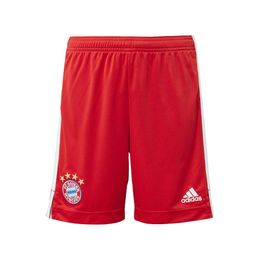 adidas Performance Workout Pants 'FC Bayern M&uuml;nchen' boy Red size 176