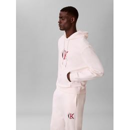 Herren Kapuzensweatshirt, beige, Gr. M, Calvin Klein Jeans, unifarben, Sweatware, Obermaterial: 100% Baumwolle, Sweatshirts, Regular fit mit Kapuze