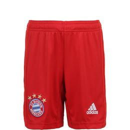 adidas Performance Workout Pants 'FC Bayern M&uuml;nchen' boy Red size 140