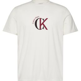 T-Shirt Calvin Klein Jeans, Damen, Gr. M, wei&szlig; greige, Web, Obermaterial: 100% Baumwolle, unifarben, regular fit normal, Rundhals, eingesetzt abgesteppte Kante, Shirts T-Shirt, Regular fit mit Rundhalsausschnitt