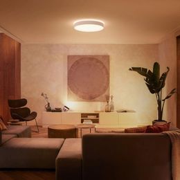 PHILIPS Hue White Ambiance Enrave Deckenleuchte, LED, 8718696176474,