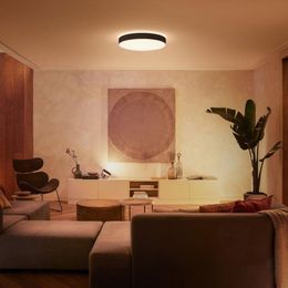 PHILIPS Hue White Ambiance Enrave Deckenleuchte, LED, 8718696176481,