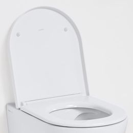Kartell LAUFEN WC-Sitz, H8913320000001,