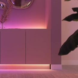 PHILIPS Hue Flux Gradient Indoor Lightstrip Lichtband, LED, 8721103087812,