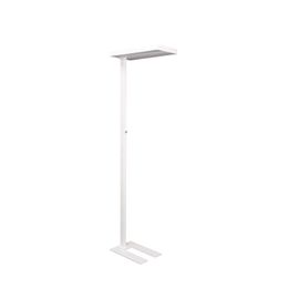 Maul Standleuchte Mauljaval LED 4.000 K dimmbar Standfu&szlig; 196 cm wei&szlig;