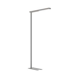 Maul Standleuchte Mauljet LED 4.000 K dimmbar Standfu&szlig; 195 cm silber