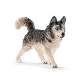 Schleich Spielfigur "Husky" - ab 3 Jahren - 16% | Spielfiguren