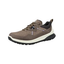 Ecco Sneakers female Brown size 36