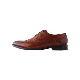 next Lace-Up Shoes male Brown size 12