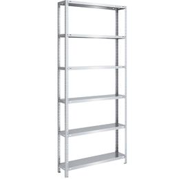 eurokraft pro Schraubregal, Bauart leicht, doppelseitig, HxBxT 2500 x 1000 x 300 mm, verzinkt, Grundregal
