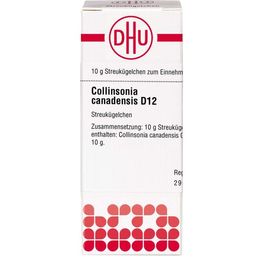 DHU-Arzneimittel Collinsonia Canadensis D 12 Globuli 10 g