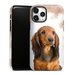 DeinDesign iPhone 11 Pro Handy Panzer Handyh&uuml;lle robuste Outdoor H&uuml;lle Schutzh&uuml;lle gl&auml;nzend Dog Dachshund Pet Tough Case