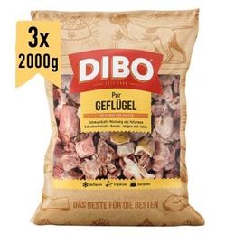 DIBO Frostfutter Gefl&uuml;gel 3x2 kg