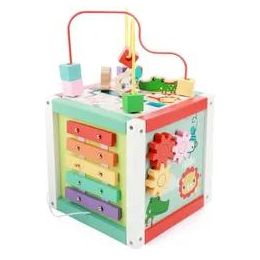 Fisher-Price - Holz-Aktivit&auml;tsw&uuml;rfel 5in1