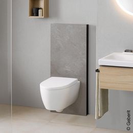 Geberit Monolith Plus Sanit&auml;rmodul H: 114,5 cm, f&uuml;r Wand-WC, 131231007,
