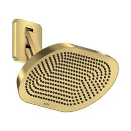 Axor ShowerSphere Kopfbrause, 2 Strahlarten, 39746990,