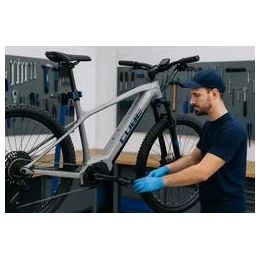 Service E-Bike Basic