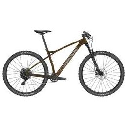 Lapierre PRORACE CF 6.9 - Brown - 47cm | 29