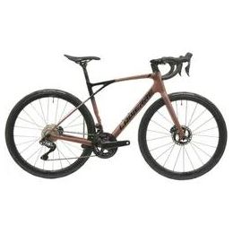 Lapierre Pulsium SAT 8.0 - bronze - 58cm | 28