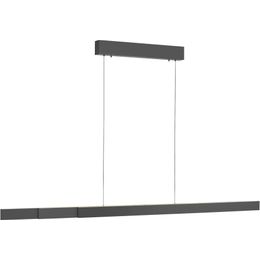 Paul Neuhaus LED Pendelleuchte "Adriana Square", anthrazit, 6, H: 60cm, 1 Stk., Leuchten, Touchdimmer, CCT 2700-5000K, getrennt schaltbar, Memory, Comfort -Lift, LED Pendelleuchte
