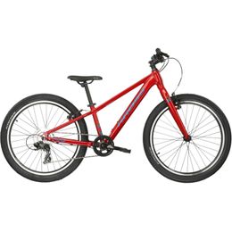 Kinderfahrrad KROSS "Kinder-MTB Level Jr 1.0" Gr. 30, rot (rot, rot), Fahrr&auml;der, Kinder, 30cm, 24 Zoll (60,96cm) hinten: 24 Zoll (60,96cm)