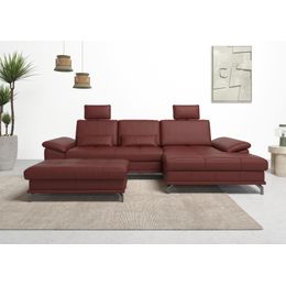 Ecksofa OTTO HOME "Costello L-Form, B: 301 cm mit Sitztiefen-, Armteilverstellung &", rot (merlot), B:301cm H:89cm T:176cm, Luxus-Microfaser (90% Polyester, 10% Polyamid);Samtoptik (100% Polyester), Sofas, Ecksofa, 3 Nierenkissen, optional Bettfunktion & Bettkasten, Topseller