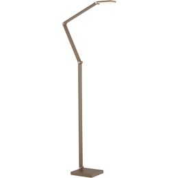 Paul Neuhaus LED Stehlampe "SAMSKY", 1, H: 114cm, 1 Stk.bronze, Leuchten, Tastdimmer, CCT 2700-5000K, Memory, H&ouml;henverstellbar