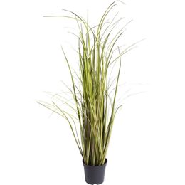 Kunstgras BOTANIC-HAUS, B:35cm H:75cm T:35cm &Oslash;:35cm, bunt, Kunststoff, Kunstpflanzen, "Grasarrangement Arusha"
