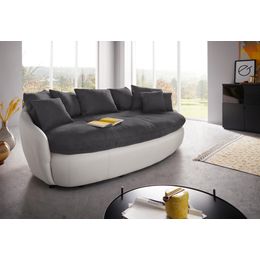 Big-Sofa COTTA, B:238cm H:79cm T:140cm, schwarz, Luxus-Microfaser (100% Polyester); Microfaser-Feinstruktur (pflegeleichte Microfaser, mit feiner