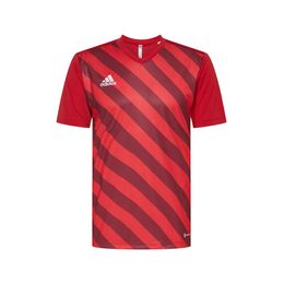 adidas Performance Performance Shirt 'Entrada 22' male Red size XXXL