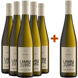 Weingut Lamm-Jung KG 5+1 Paket Alkoholfrei Riesling - Rheingau &ndash; Probierpaket Entalkoholisierter Wein