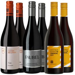 Wirwinzer Select Rotwein Premium-Paket Trocken - Verschiedene Regionen &ndash; Probierpaket Diverse