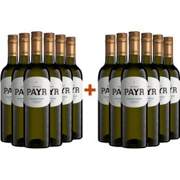 Bio Weingut Robert Payr 6+6 2023 vom Lehm Chardonnay 2024 Trocken - Carnuntum DAC &ndash; Probierpaket Qualit&auml;tswein