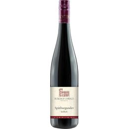 Weingut Burghof Oswald Guntersblumer Sp&auml;tburgunder 2024 Lieblich - Rheinhessen &ndash; Rotwein Qualit&auml;tswein