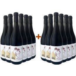 Uma Casanatura 6+6 Paket Silla Colli Aprutini Cuv&eacute;e 2021 - Abruzzen &ndash; Probierpaket IGP