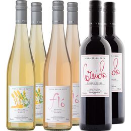 Vigna della Cava Della Kennenlern-Paket Trocken - Marken &ndash; Probierpaket Diverse