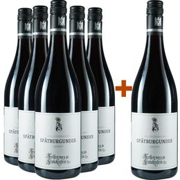 Weingut Freiherr von und zu Franckenstein 5+1 Granit Sp&auml;tburgunder 2022 Trocken - Baden &ndash; Probierpaket VDP.Ortswein
