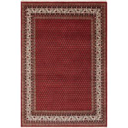 Orientteppich OTTO HOME, B:170cm H:12mm L:240cm, rot, Wolle, Teppiche, "Levin, handgekn&uuml;pft", reine Wolle, mit Fransen, auch als L&auml;ufer, Wohnzimmer