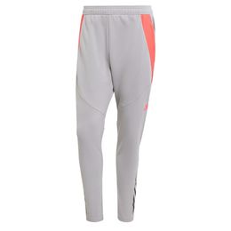 adidas Performance Workout Pants 'Tiro 24 Competition' male Grey size XXXL