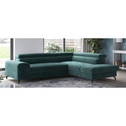 Ecksofa COTTA "Aura L-Form, B: 260 cm", gr&uuml;n (hunter), B:260cm T:210cm, Sofas, Ecksofa, mit Bettfunktion, Bettkasten & Kopfteilverstellung, Topseller