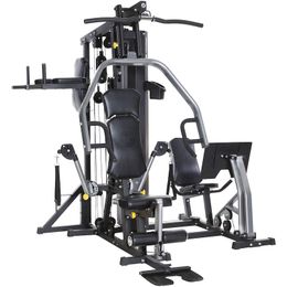 Horizon Fitness Kraftstation &raquo;Torus 5&laquo; 1 Gewichtsbl&ouml;cke Latzug, Beinpresse, Kabelzug und mehr, max. Benutzergewicht 150 kg, max. Trainingsgewicht 80 kg schwarz 