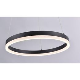 Paul Neuhaus Pendelleuchte &raquo;TITUS&laquo; LED-Board 1 Stk. Warmwei&szlig; LED, dimmbar, Simply Dim, Memory, nach Trennung vom Netz grau