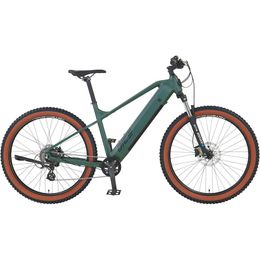 Prophete Unisex &raquo;Dice 1.0&laquo; 8 Gang Shimano Altus Schaltwerk Kettenschaltung Heckmotor 250 W Pedelec, Elektrofahrrad f&uuml;r Damen und Herren, MTB gr&uuml;n