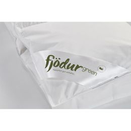 fj&ouml;dur fj&ouml;dur 3-Kammer-Kopfkissen &raquo;Fleur, Kissen Made in Germany&laquo; F&uuml;llung: Au&szlig;en: 50% Daunen % 50 %Federn, Innenkern aus Federn 1 Stk. tlg. Das 3-