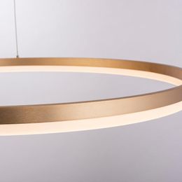 Paul Neuhaus Pendelleuchte &raquo;TITUS&laquo; LED-Board 1 Stk. Warmwei&szlig; LED, dimmbar, Simply Dim, Memory, nach Trennung vom Netz gold