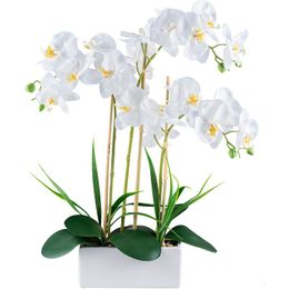 Creativ green Kunstorchidee &raquo;Orchidee Phalaenopsis&laquo; mit Graszweigen arrangiert wei&szlig; Kunststoff