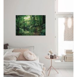 Komar Leinwandbild &raquo;Jungleflair - Gr&ouml;&szlig;e 90 x 60 cm&laquo; Baum Berge Blumen Bl&auml;tter Foto Jahreszeiten Landschaft Meer Natur Palmen Strand Packung, 1 Stk. tlg. 