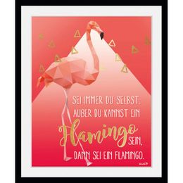 queence Bild &raquo;Alfie&laquo; Fashion Flamingos Humor Mode Motivationsbilder 1 Stk. tlg. HD Premium Poster-Druck inkl. Holzrahmen pink Acrylglas, Holz, Papier